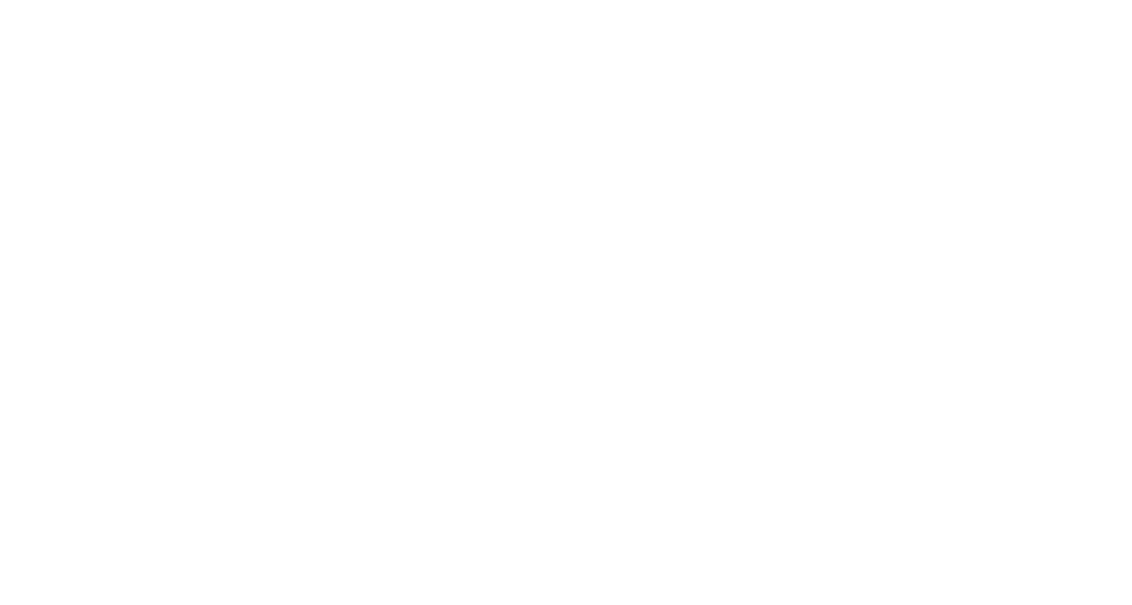 More About Allison Thornton | Allison Thornton & Katie Cousino